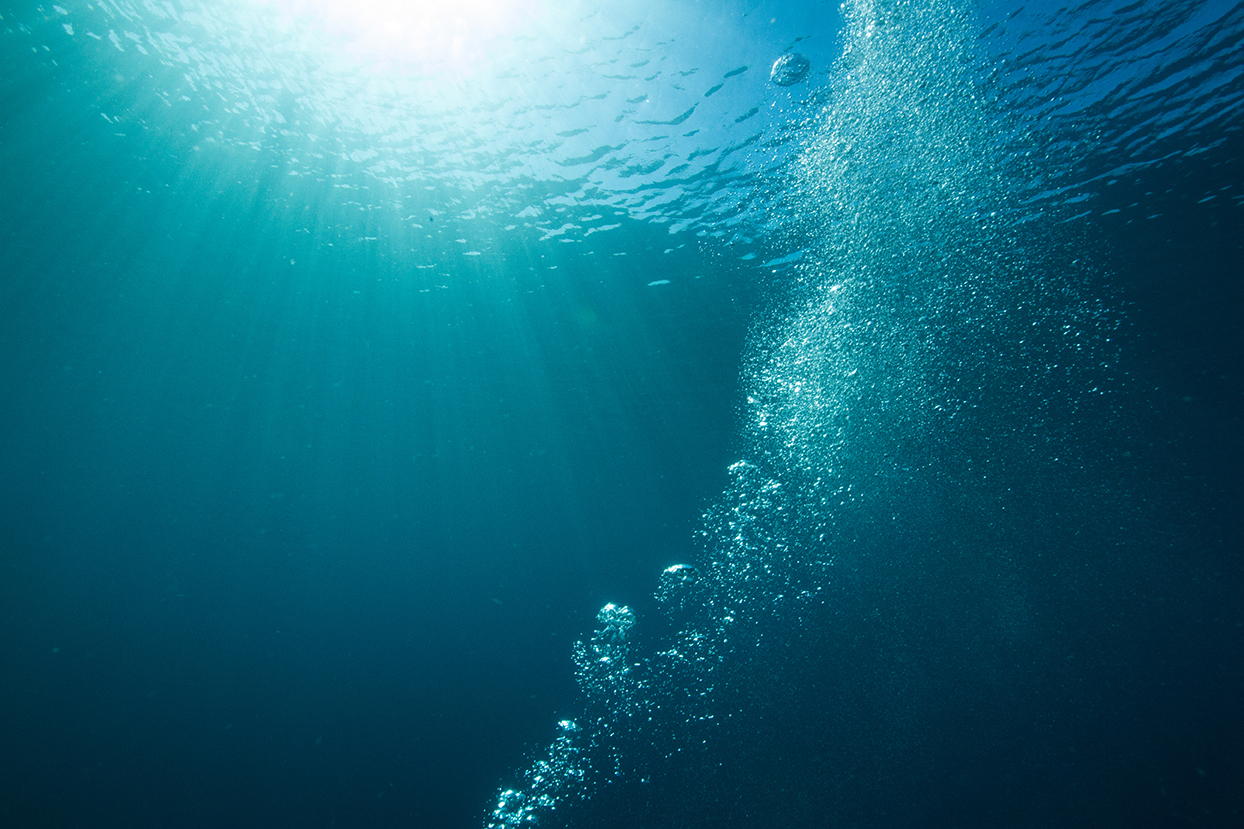 Marbella dive site | PADI