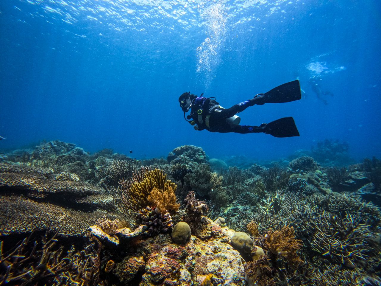 Inner Reef dive site | PADI