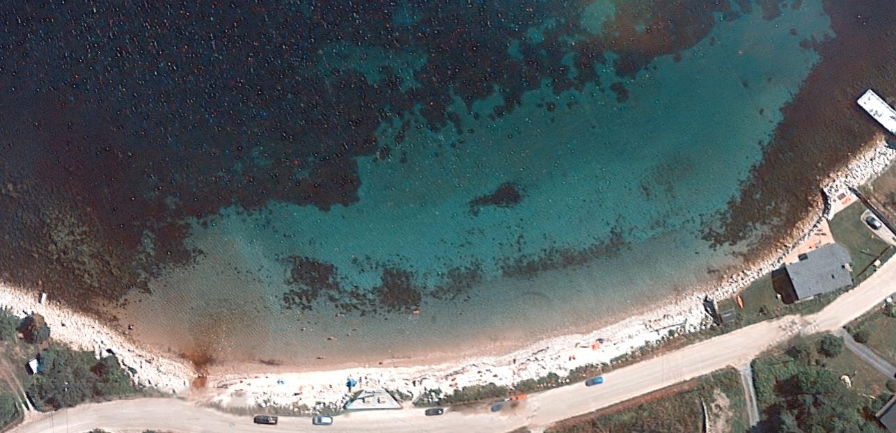 Mill Cove Beach dive site | PADI