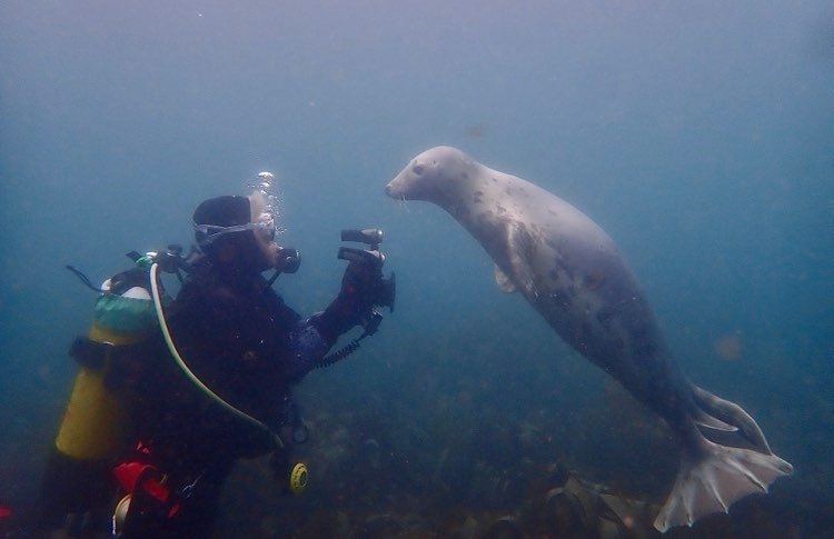 Lundy Island - Gannet's Bay dive site | PADI