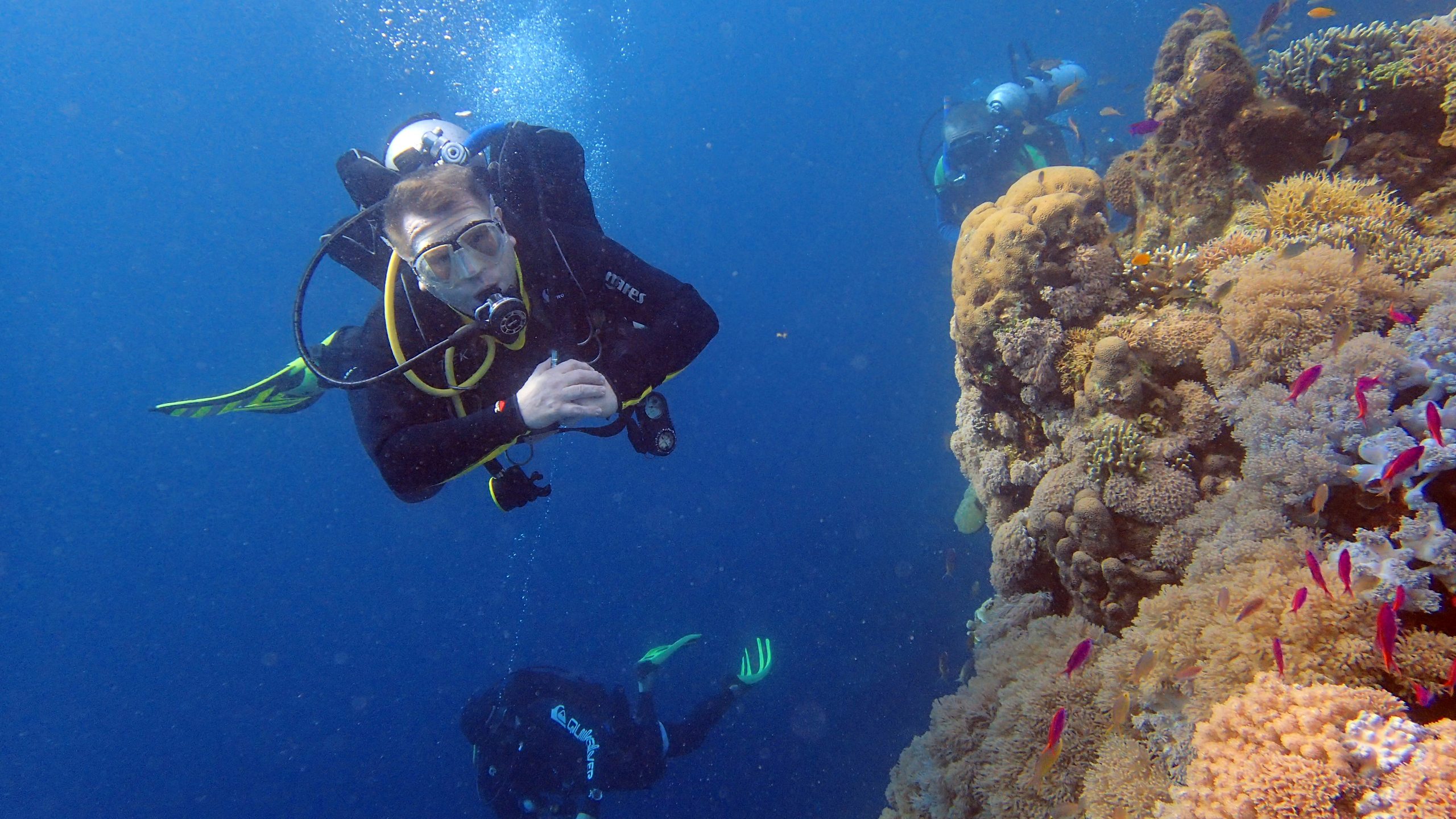 Agus Bay dive site | PADI