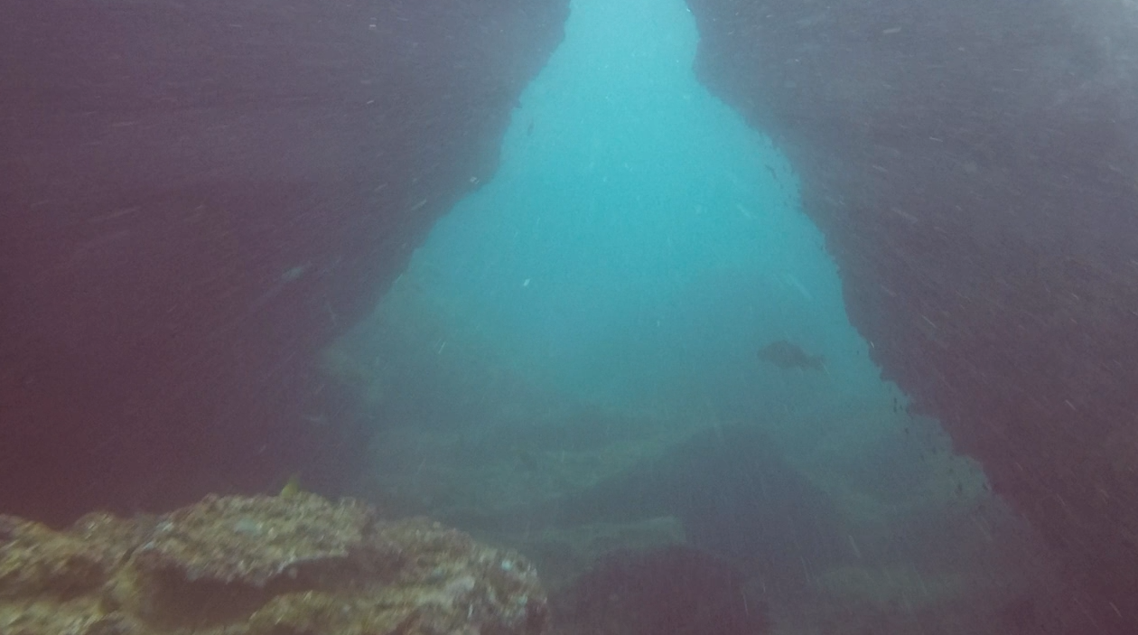 Falcon Rock dive site | PADI