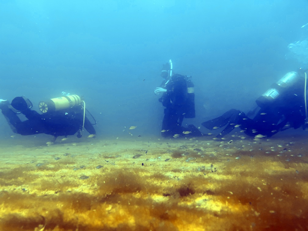 Lake Hydra (formerly Dutch Springs) dive site | PADI