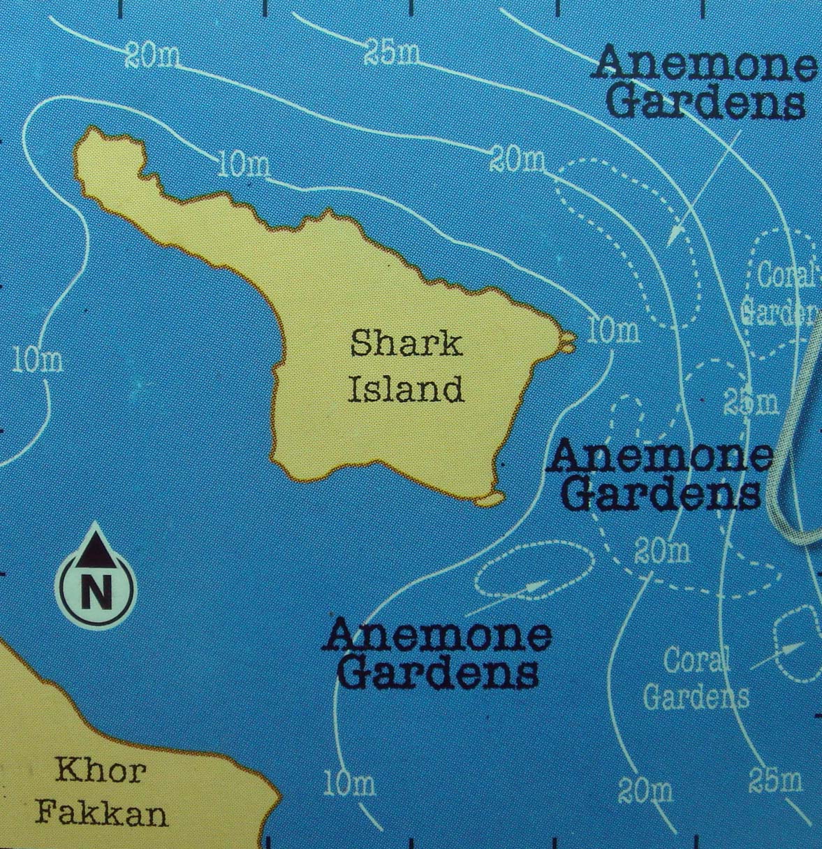 Shark Island dive site | PADI