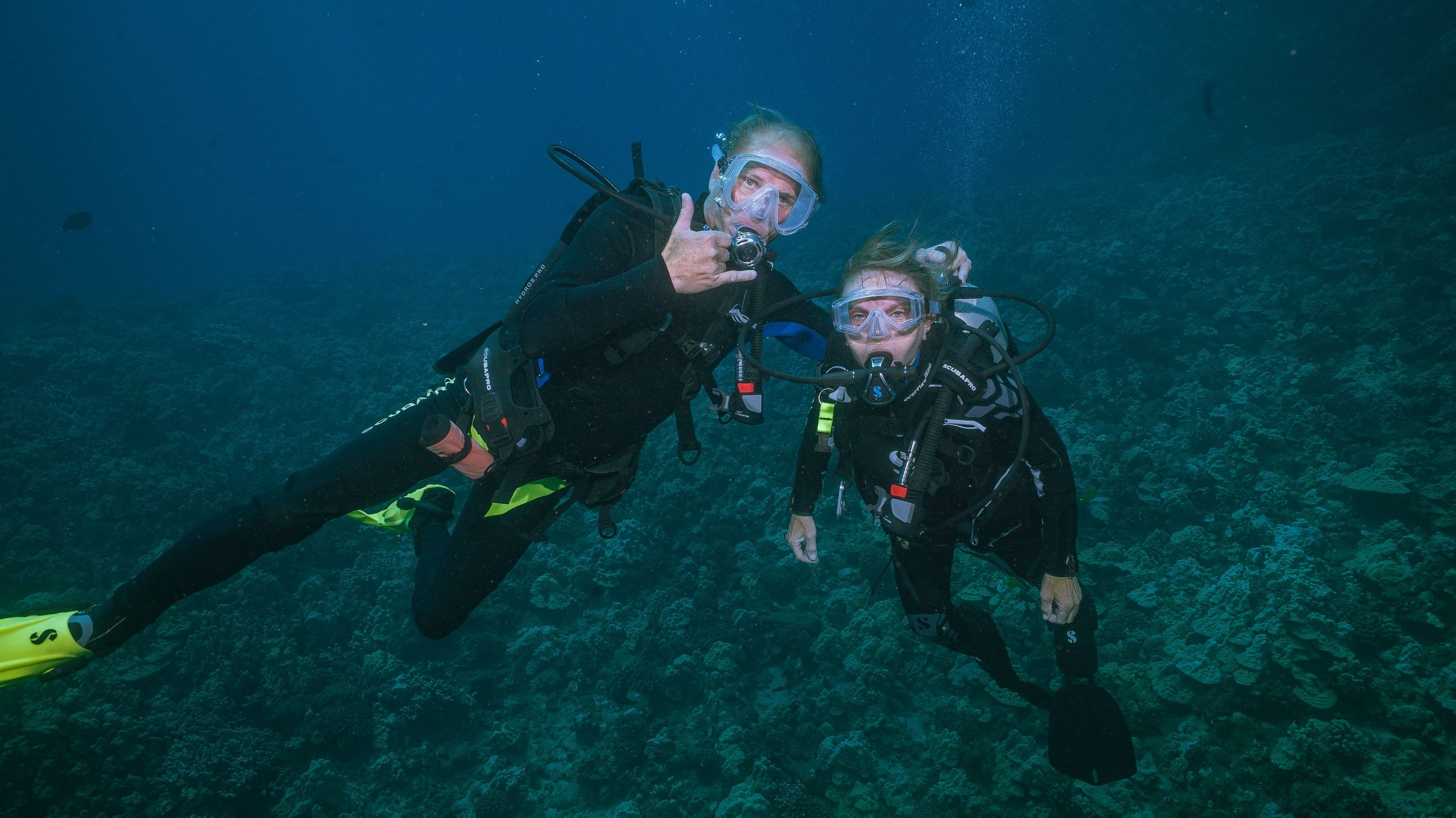 Shark Fin dive site | PADI