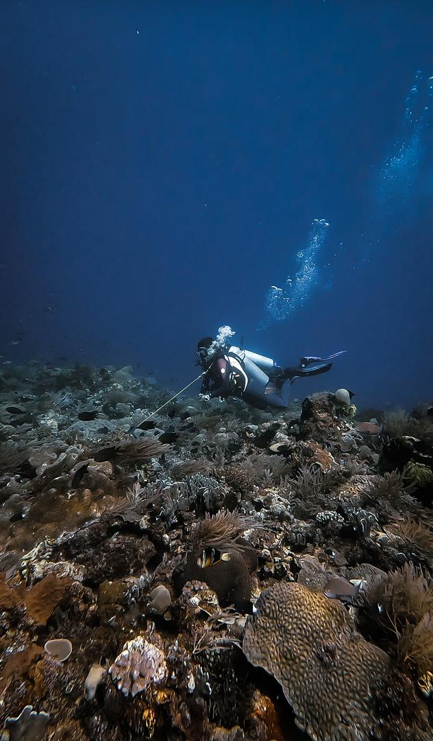 Illicnamo Pinnacle dive site | PADI