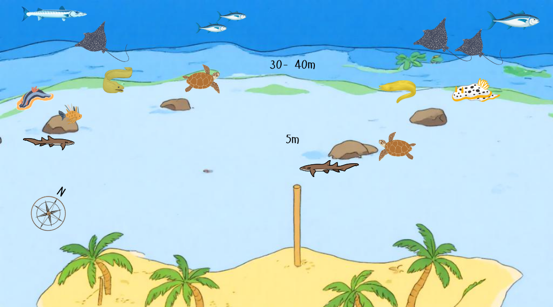 Felivaru Beyru dive site | PADI