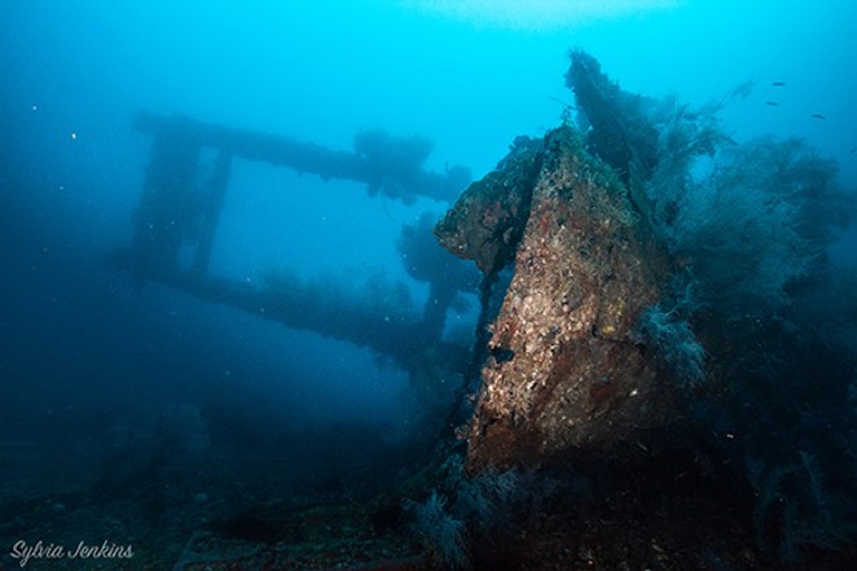 Lighthouse wreck dive site | PADI