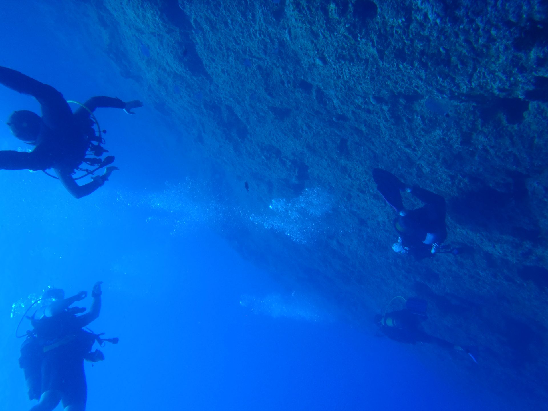 "The Wall" dive site | PADI