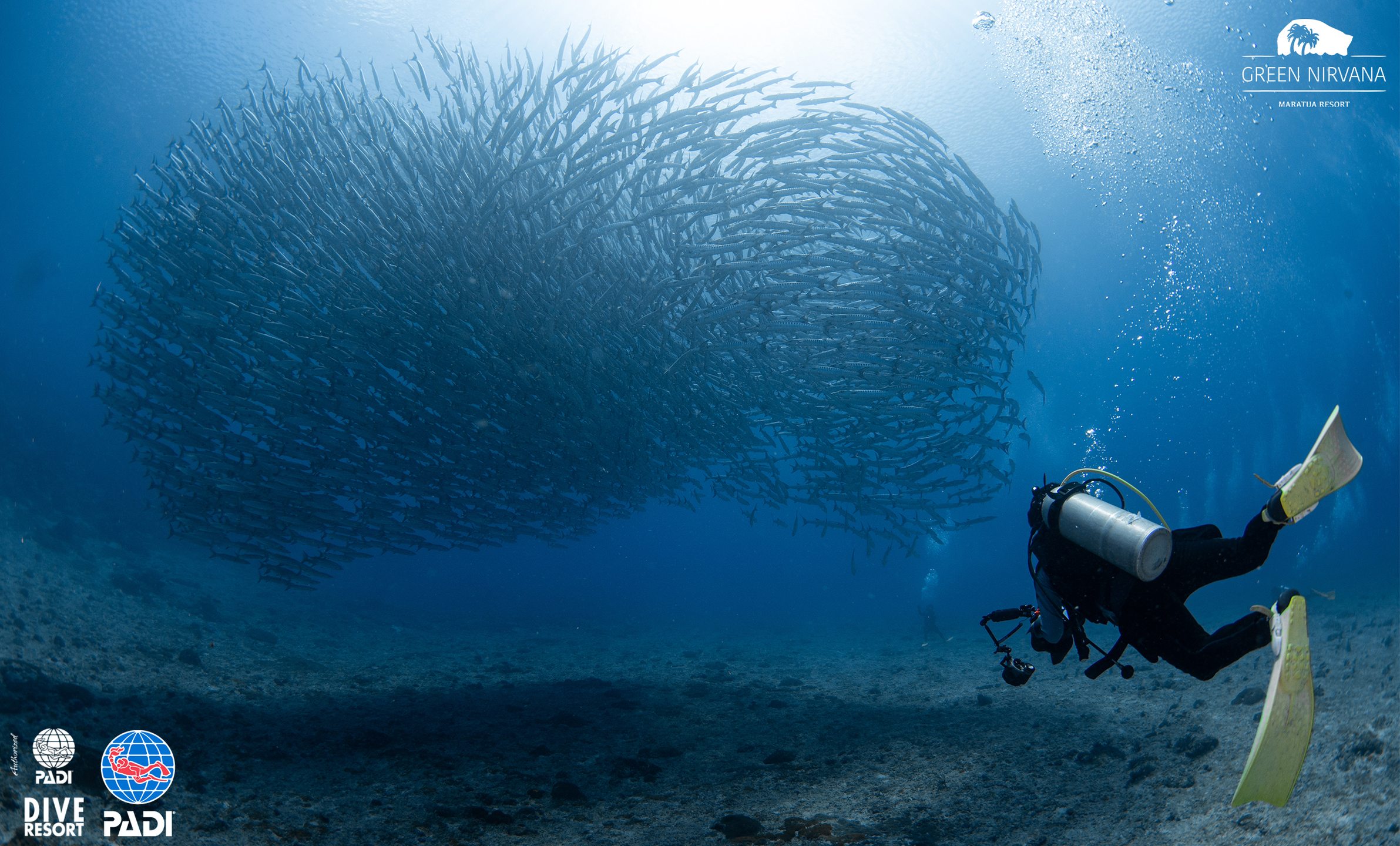 Big Fish Country dive site | PADI