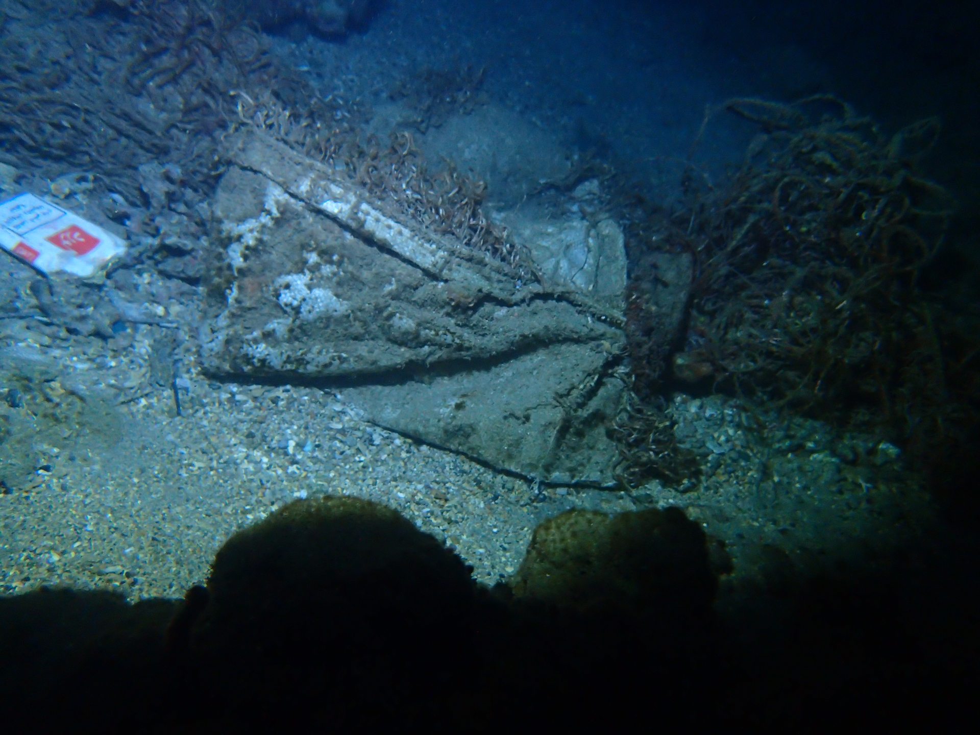 Sara beach dive site | PADI