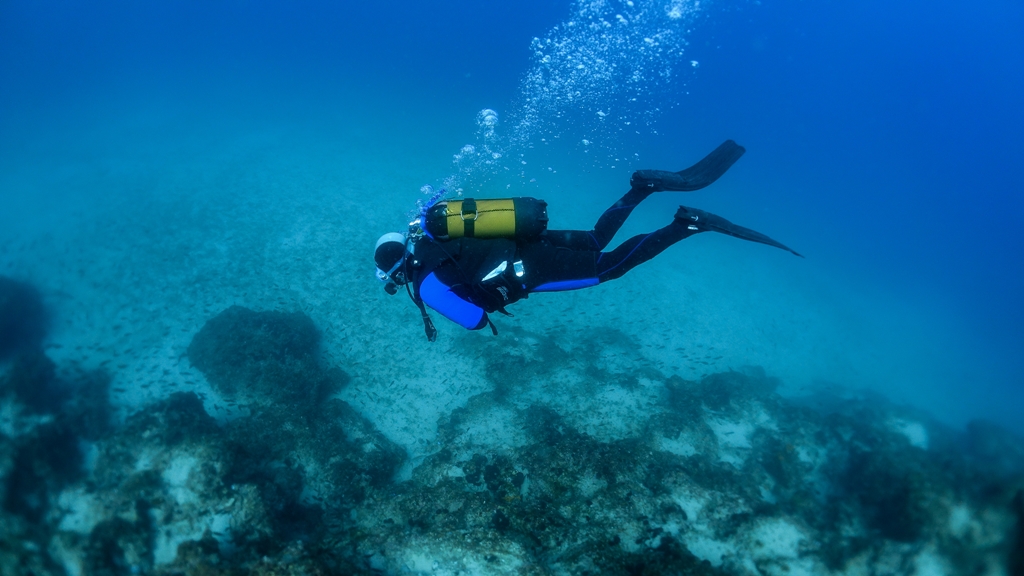 Small reef dive site | PADI