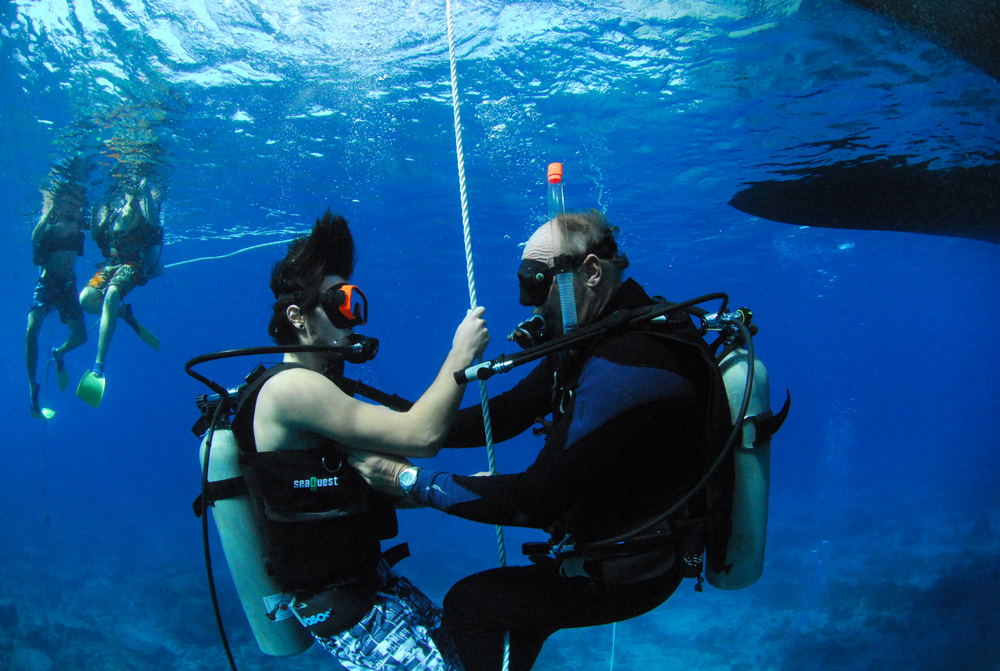 Buck Island dive site | PADI