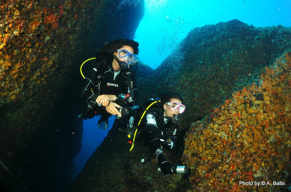 The Tunnel & The Fjord dive site | PADI