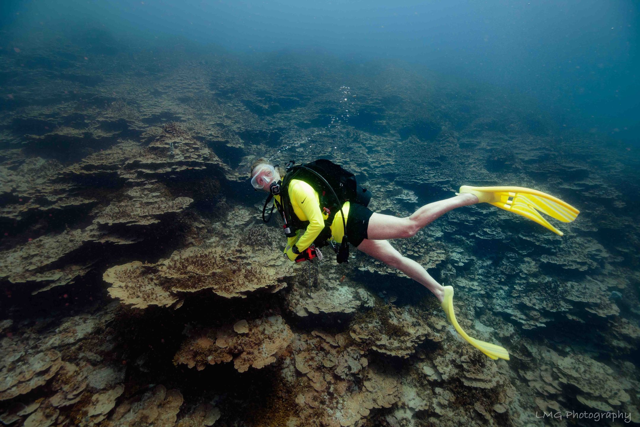 Finger Reef dive site | PADI