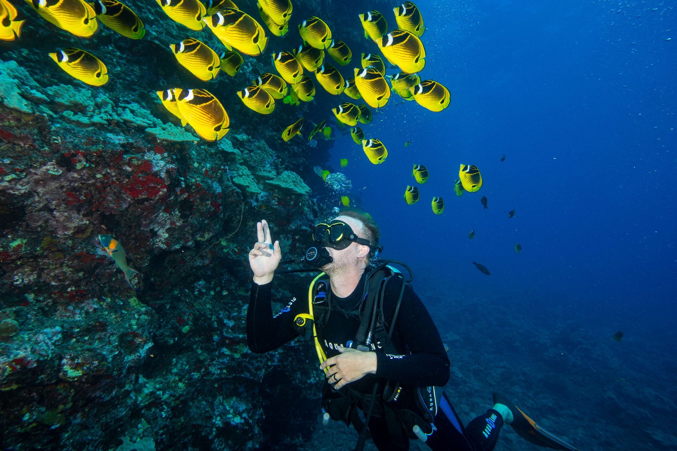 McGregor Point dive site | PADI