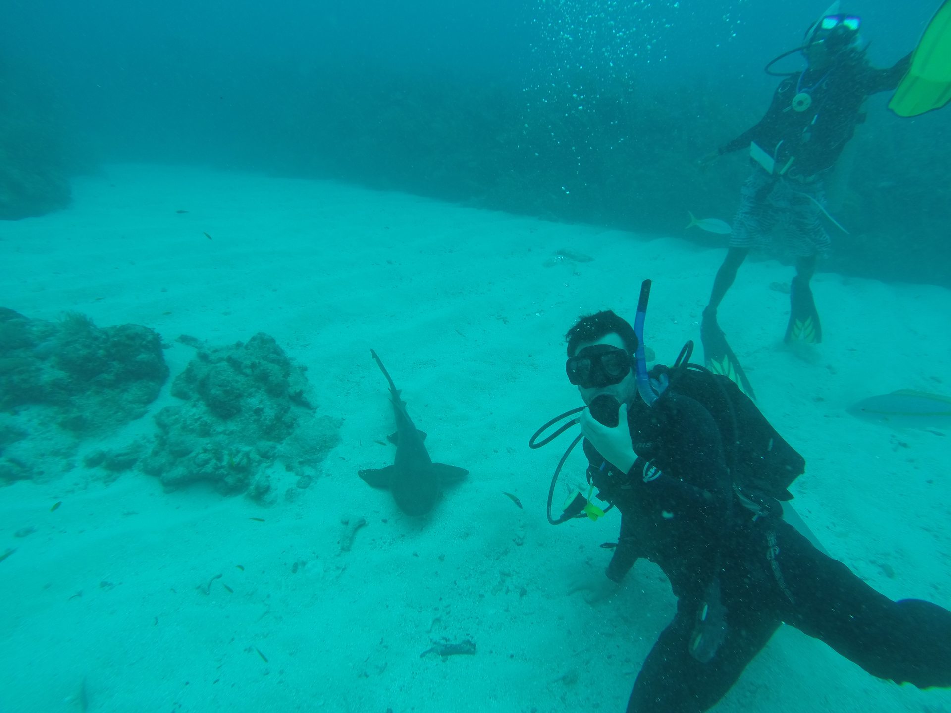 Tuffy Inn dive site | PADI