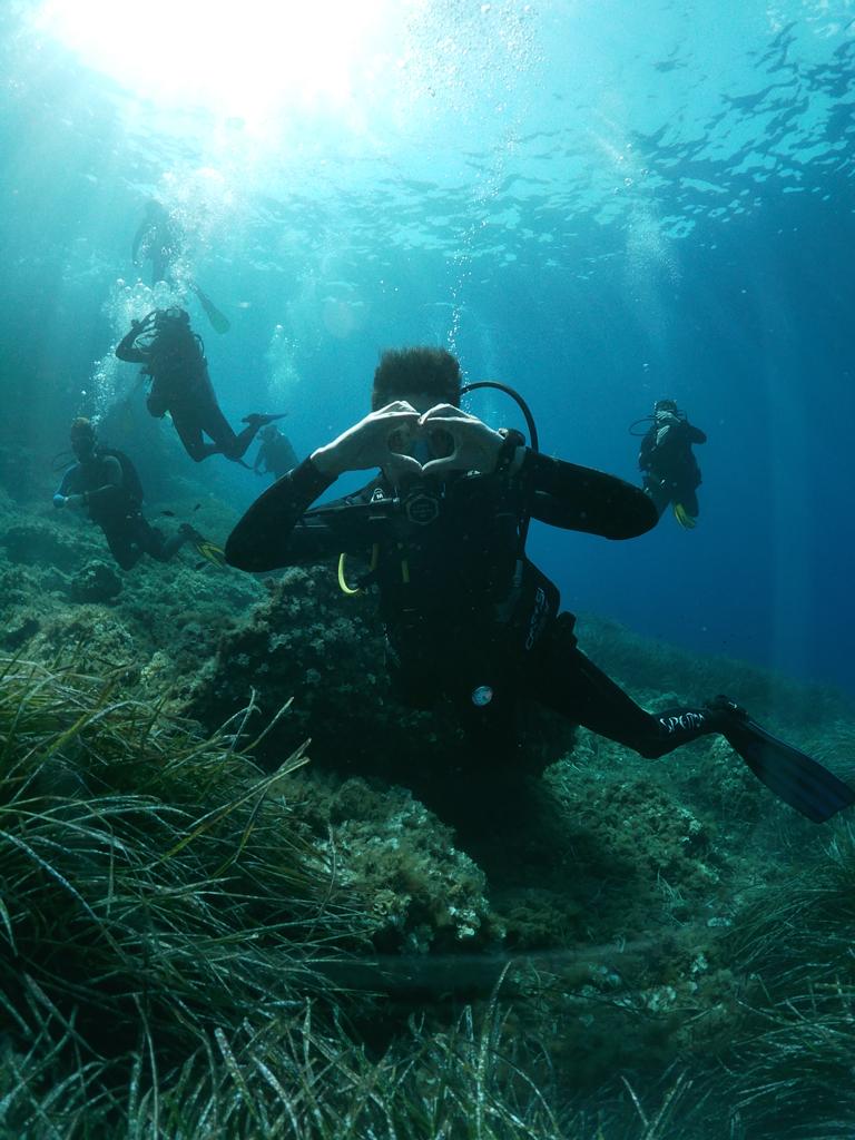 Swiss cheese dive site | PADI