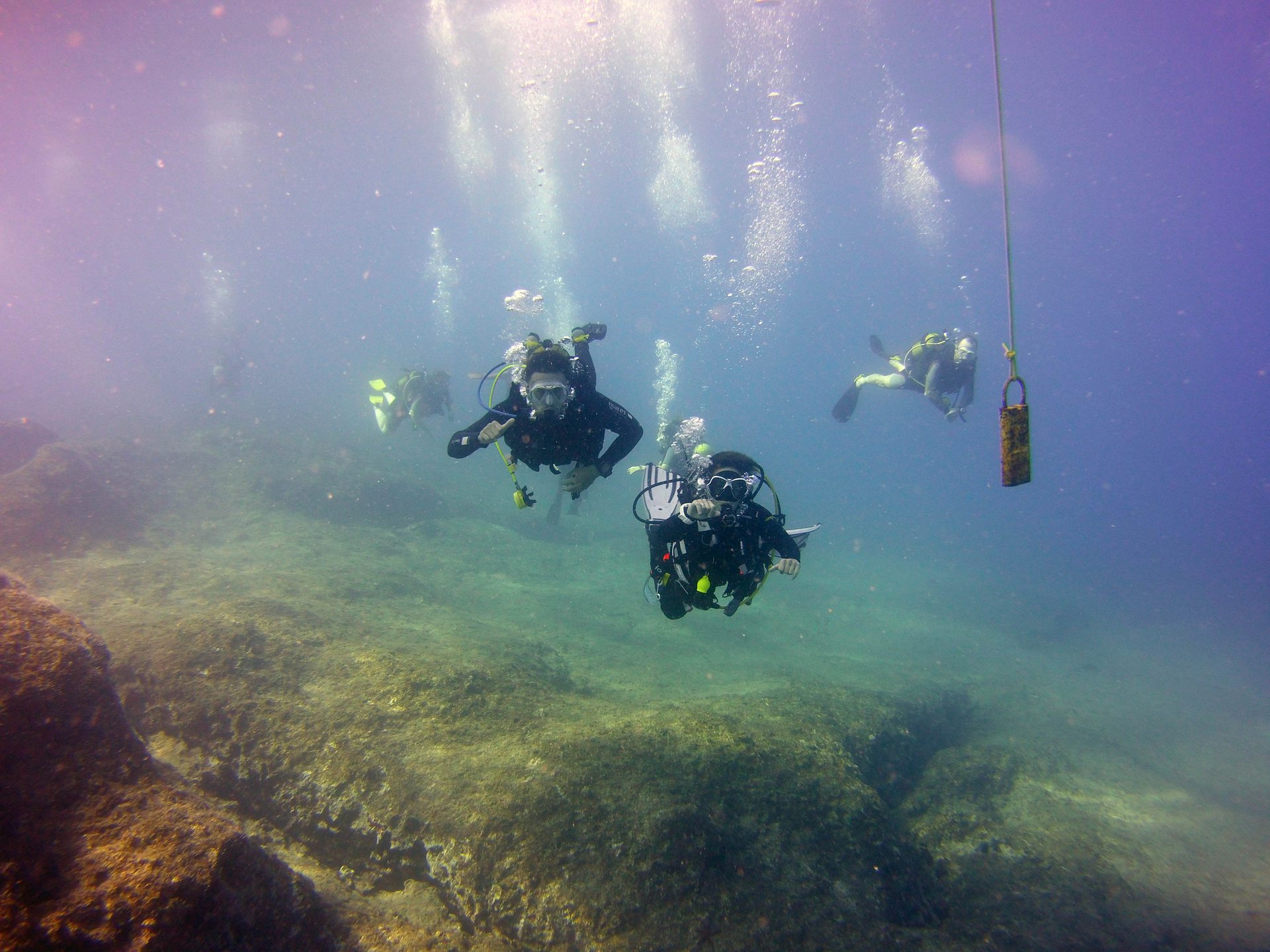 Middle Reef dive site | PADI