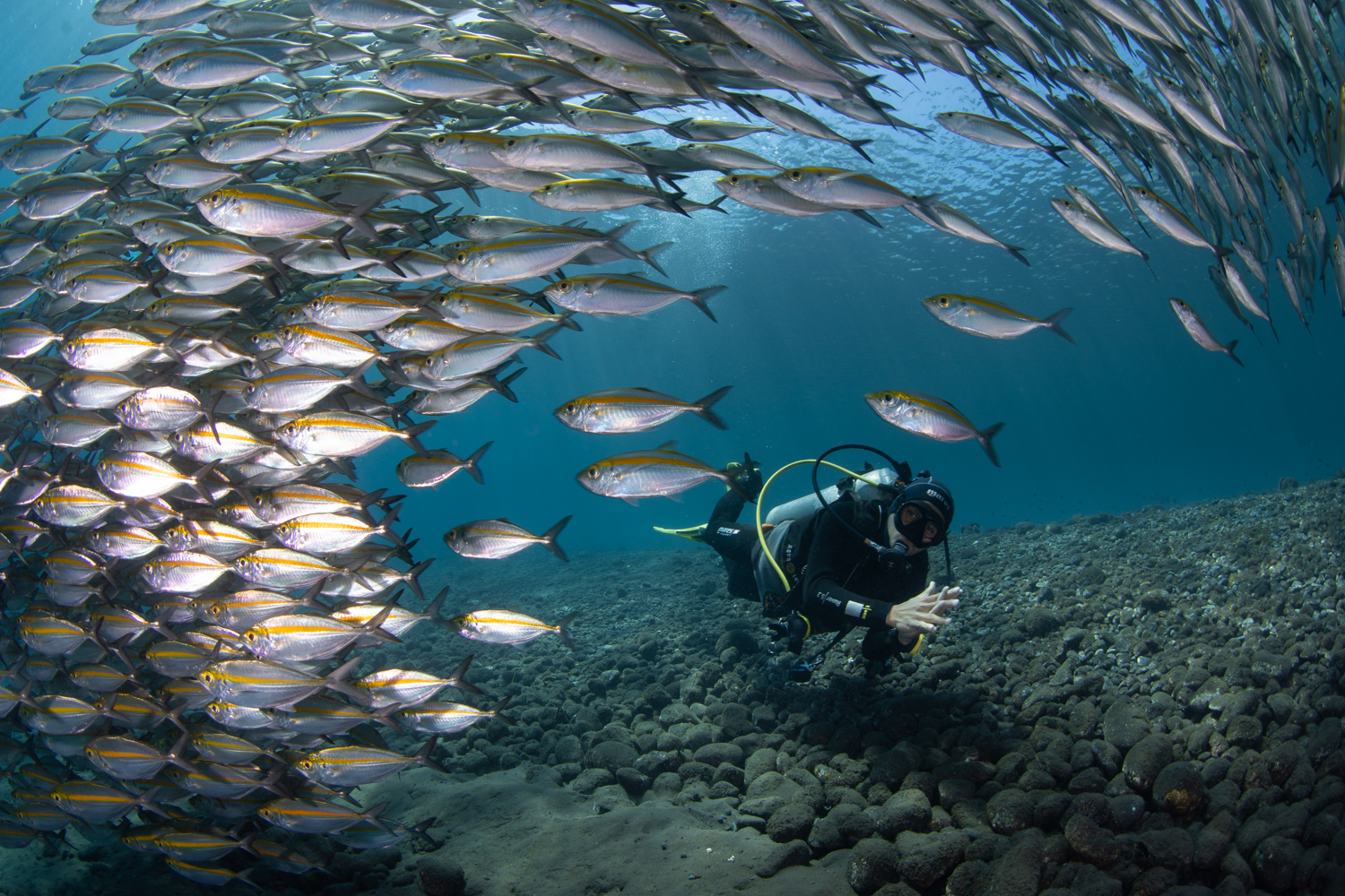 Drop Off dive site | PADI