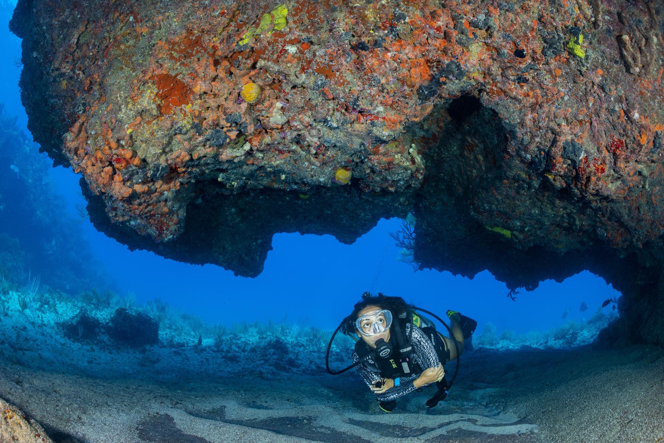 Sitio de buceo Gigglin Marlin Legacy | PADI