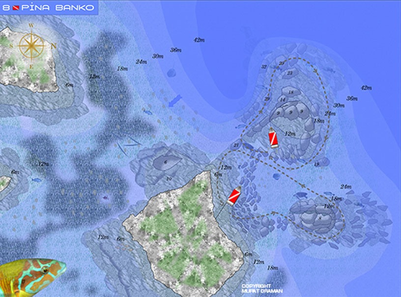Pina Reef dive site | PADI
