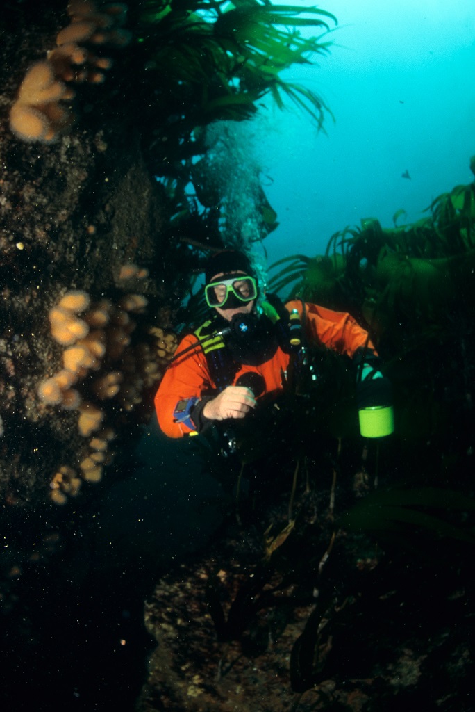 THE POINT: 18-22mts. dive site | PADI