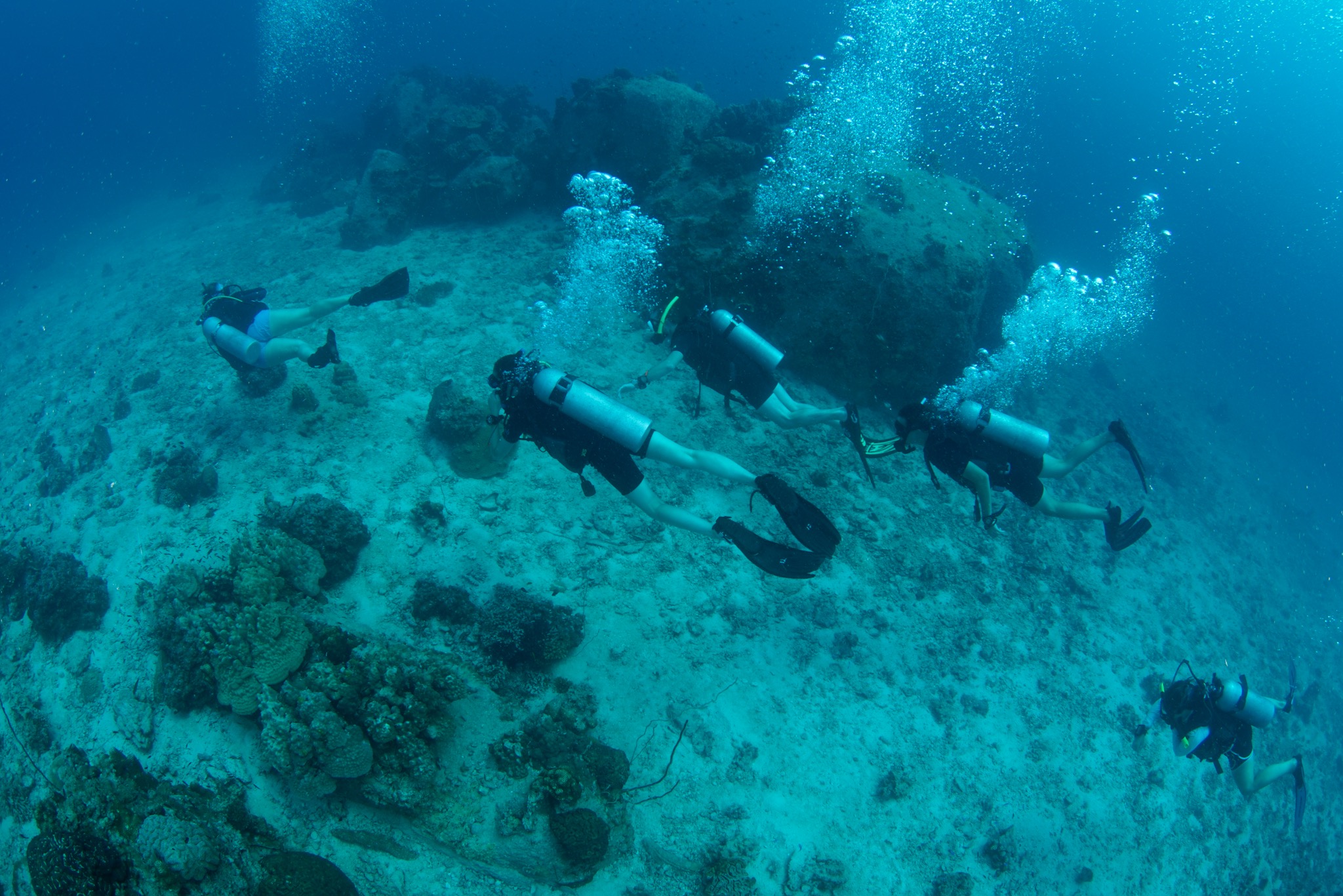 White Rock dive site | PADI