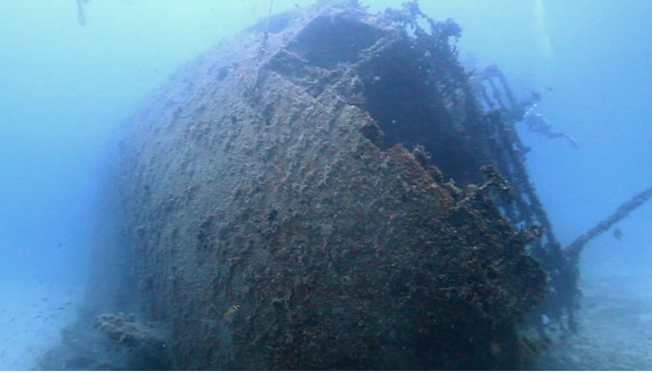 The Eagle Shipwreck 75-110ft的潛點 | PADI