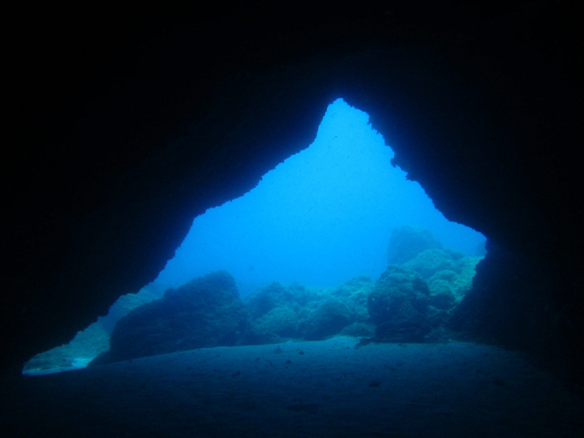 Organ Loft dive site | PADI