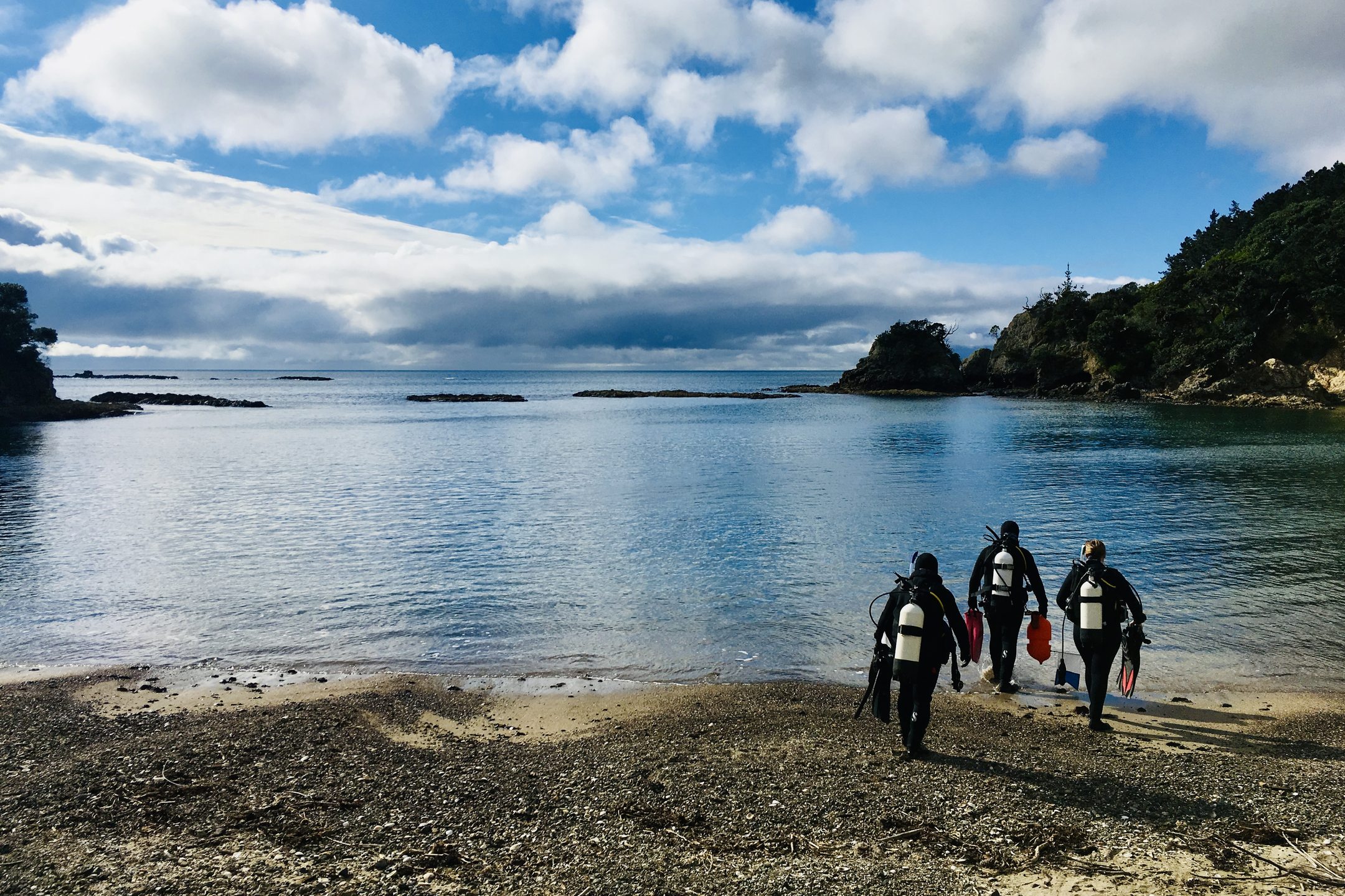 Enclosure Bay Lagoon dive site | PADI