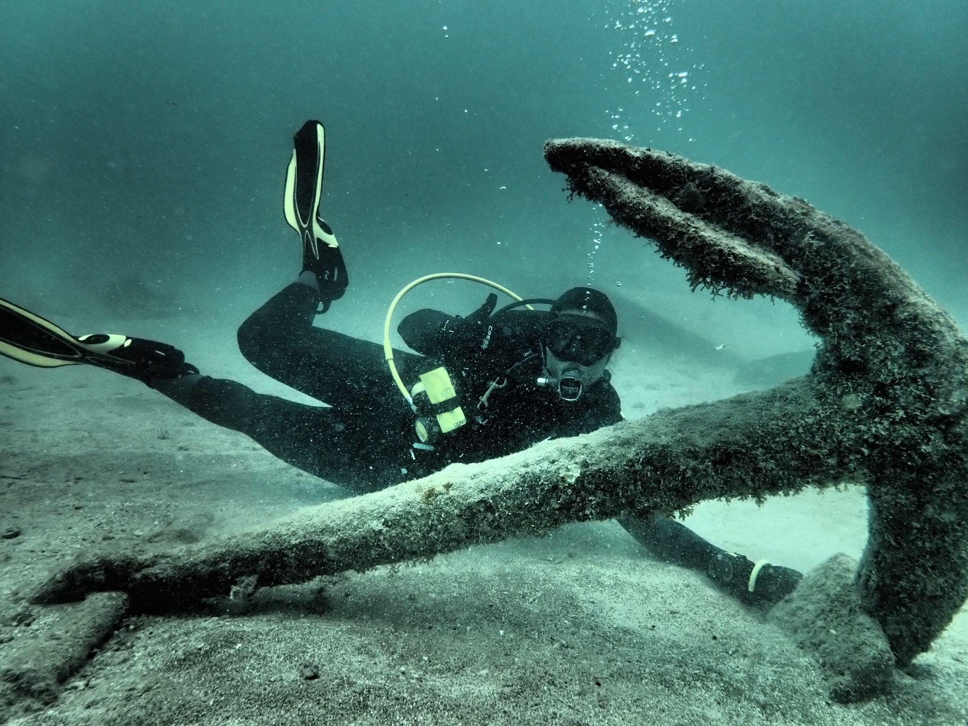 Benwood Shipwreck dive site | PADI