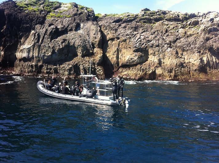 THE GULLY: 8-20mts dive site | PADI