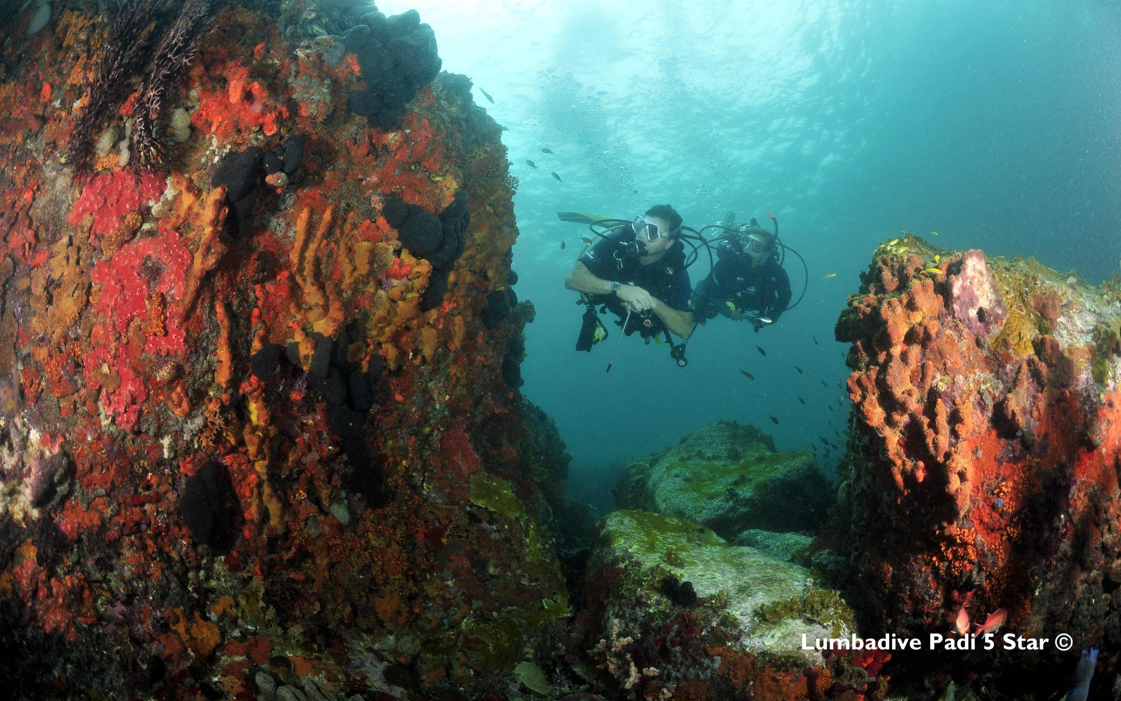 Sisters Rocks - Deep Blue dive site | PADI