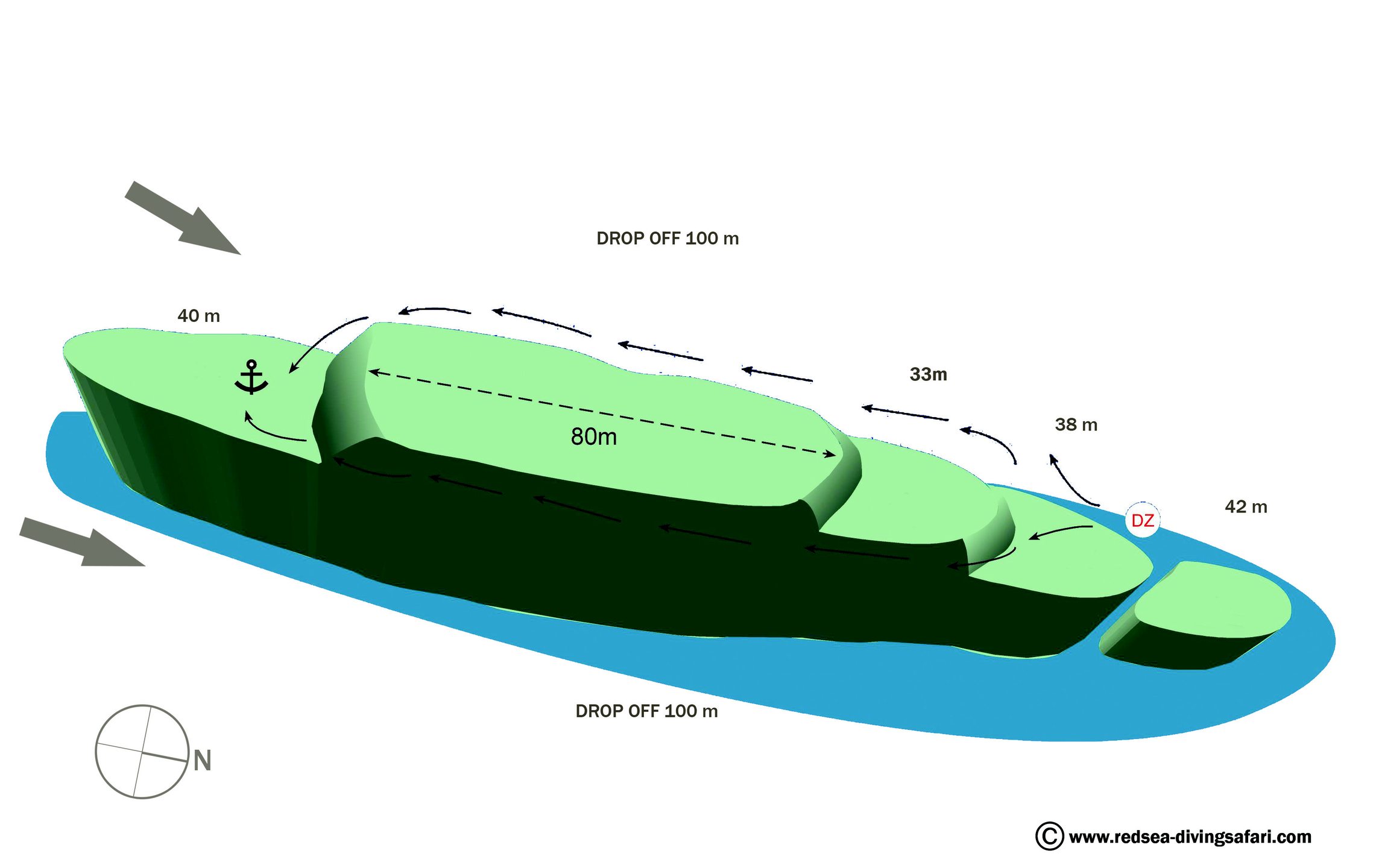 Elphinstone Reef dive site | PADI