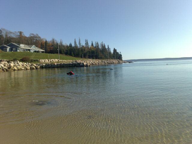 Fox Point Beach dive site | PADI