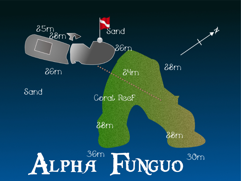 MV Alpha Funguo dive site | PADI