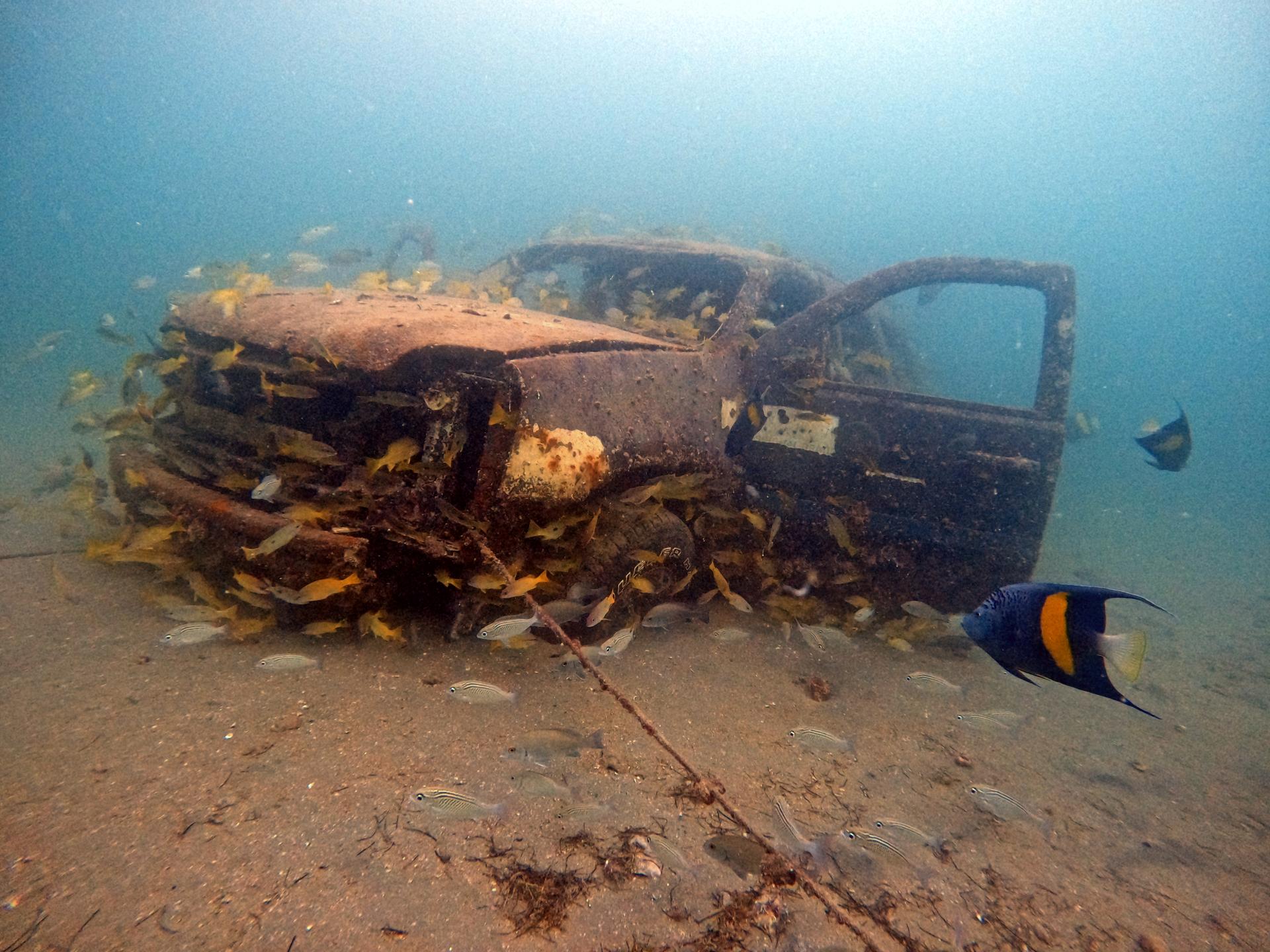 GMC Reef dive site | PADI