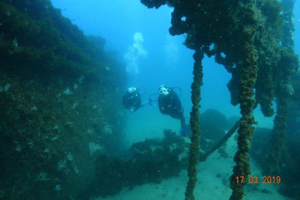 482m & Batty's Barge dive site | PADI