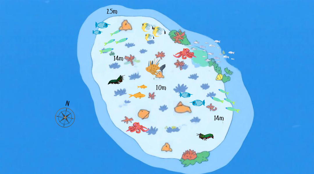 Maafilaa dive site | PADI