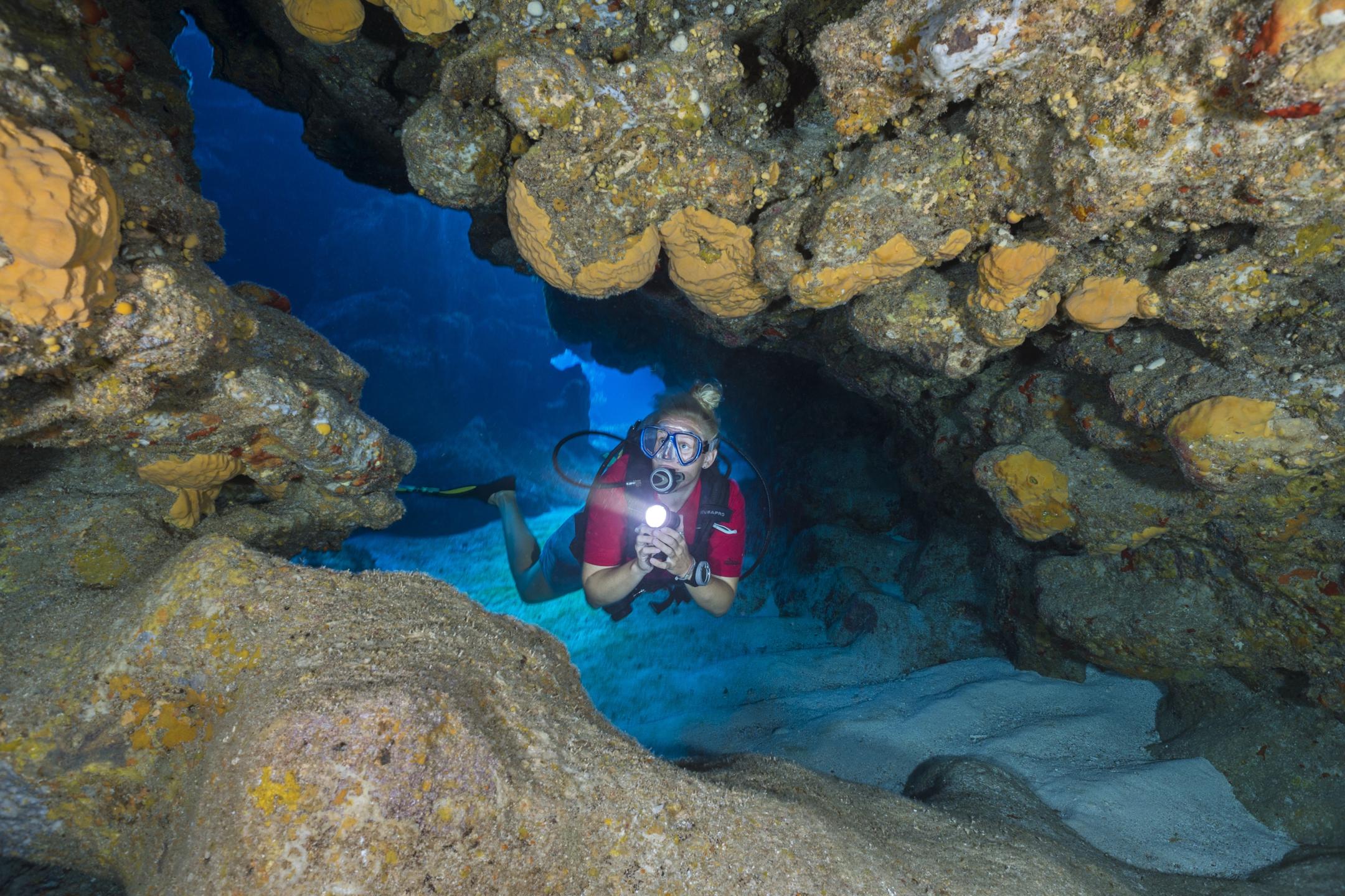 Snapper Hole dive site | PADI