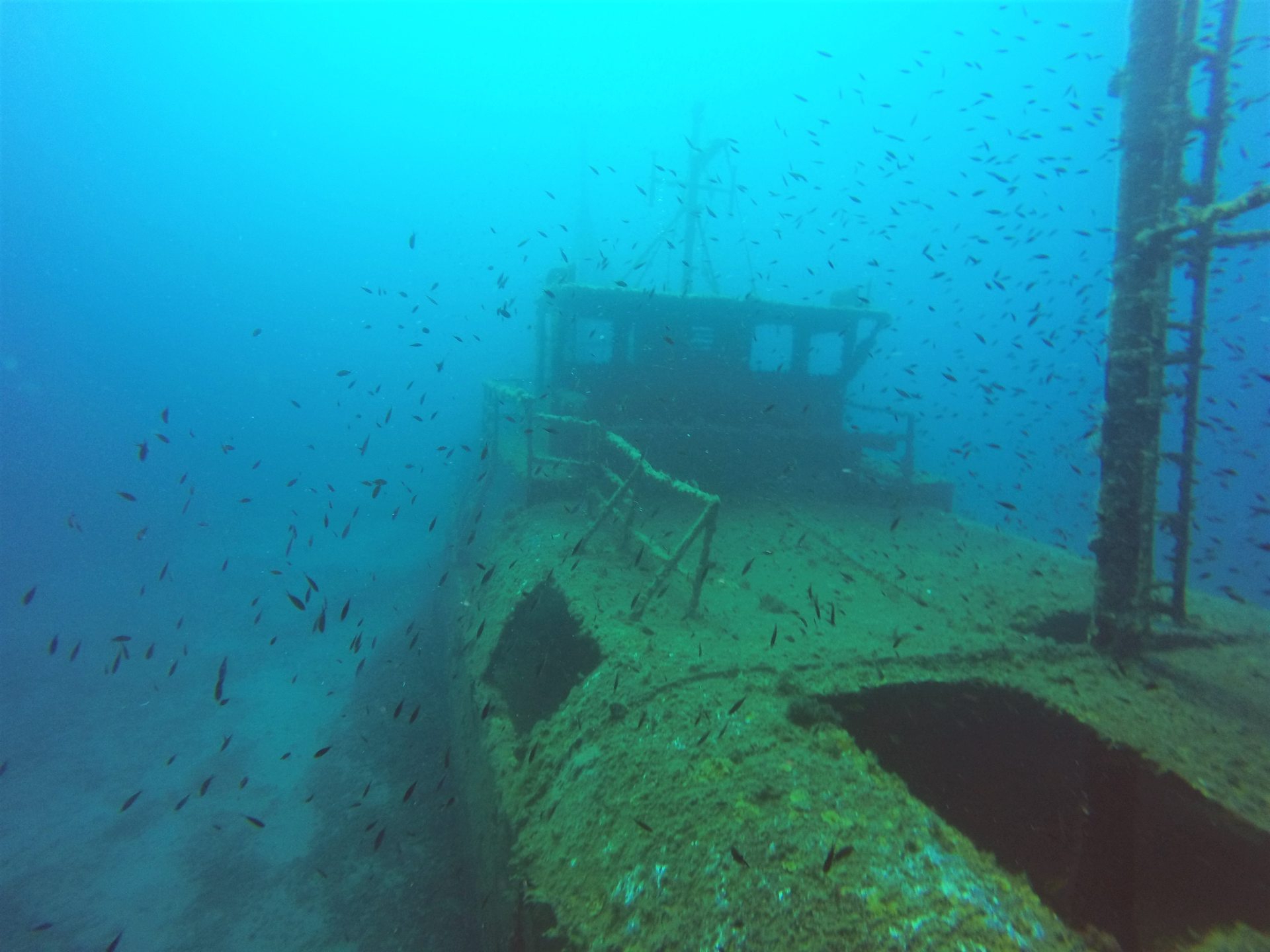 Liberty wreck dive site | PADI