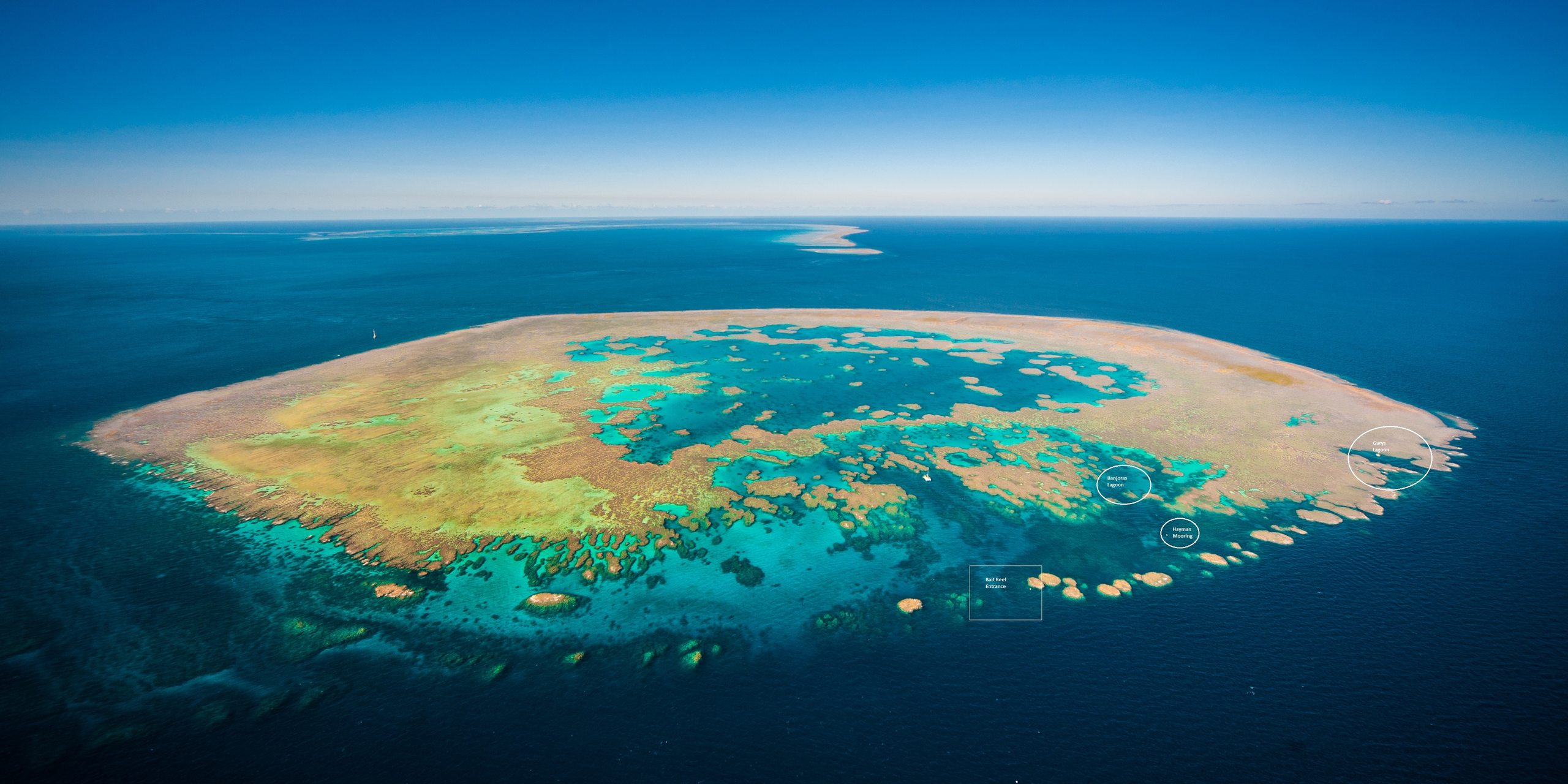 Bait Reef dive site | PADI
