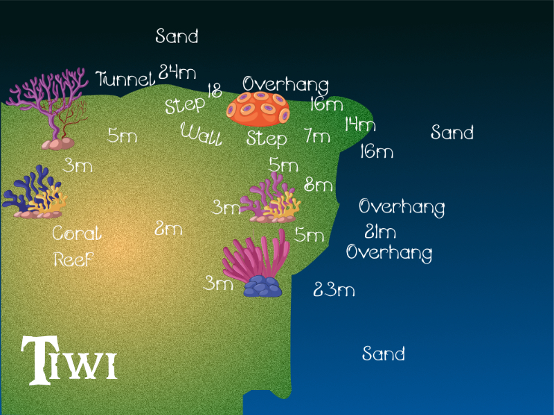 Tiwi Wall 다이빙 포인트 | PADI