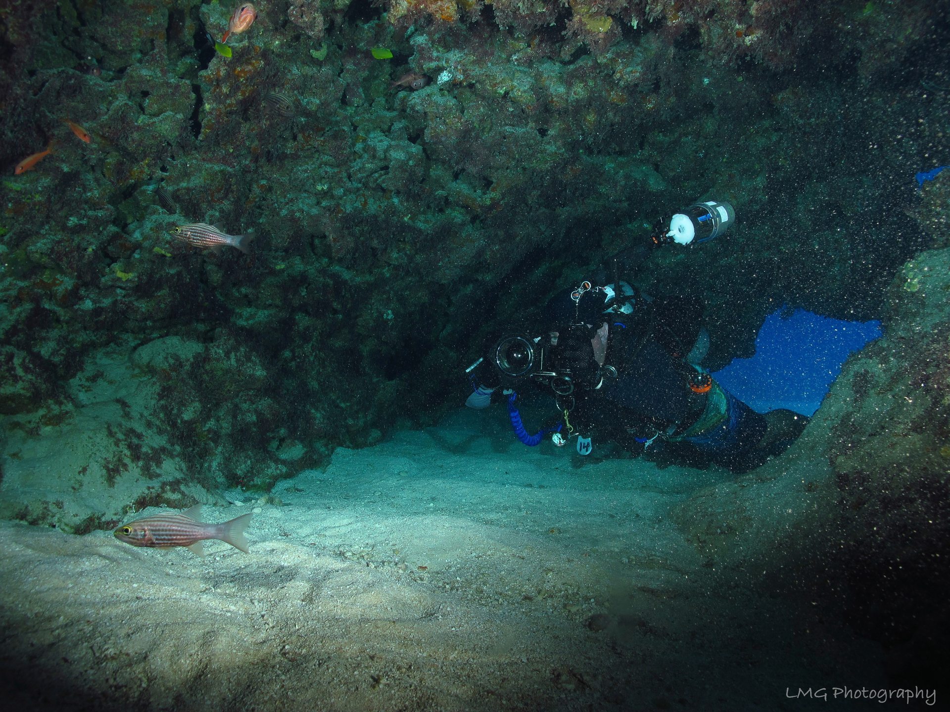 The Tunnel dive site | PADI