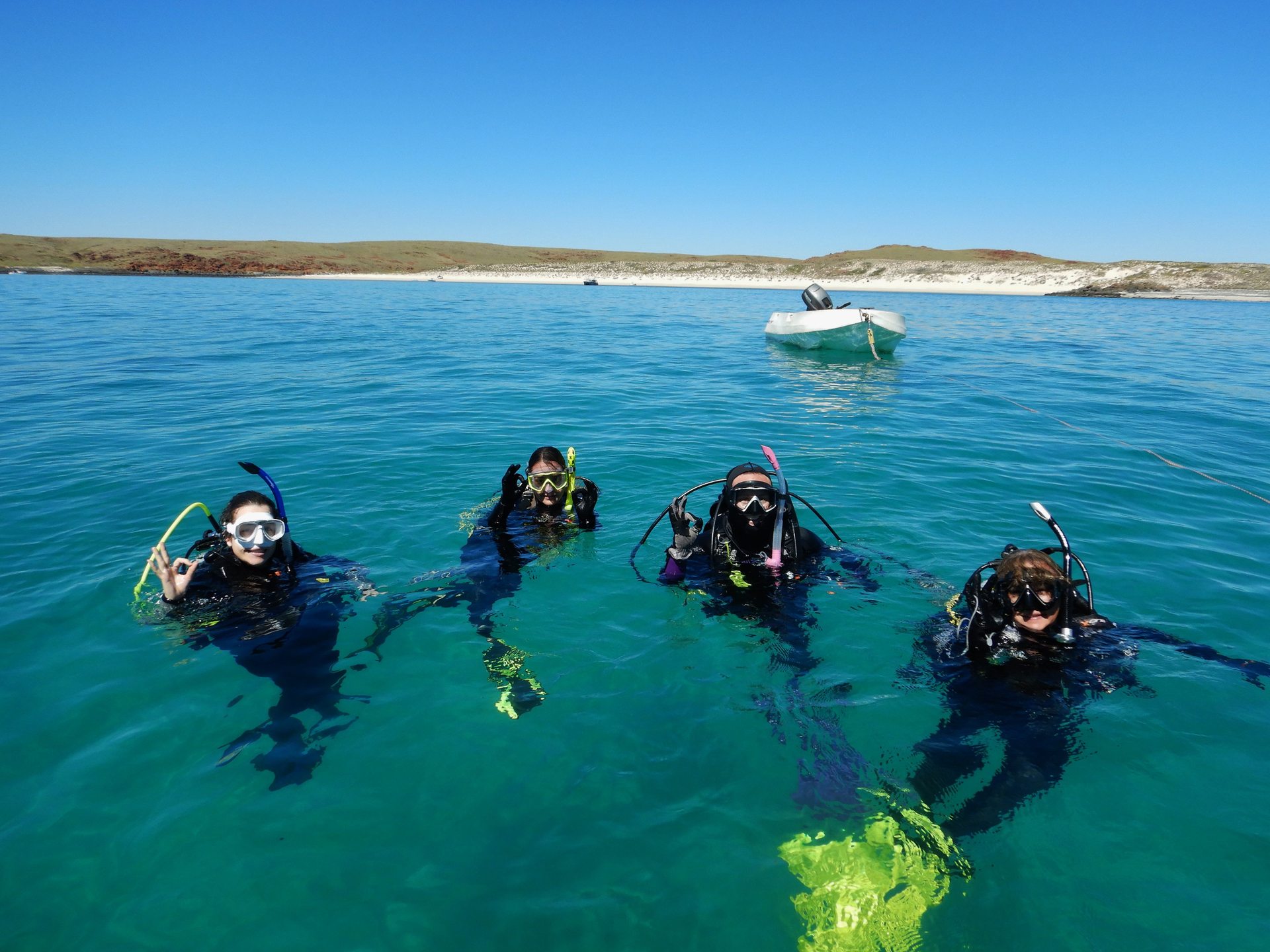 Malus Island - Marney Bay 다이빙 포인트 | PADI