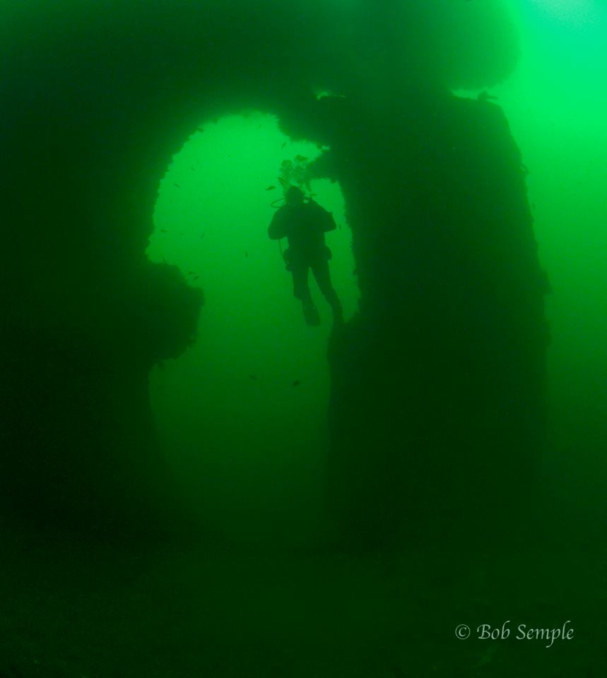 Arrow dive site | PADI