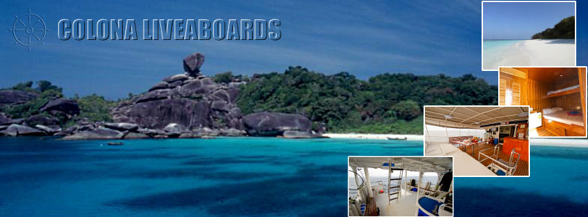 MV Giamani | Liveaboard | PADI Travel