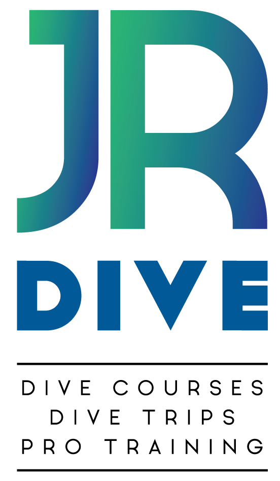 JR Dive in South Korea - Zentacle