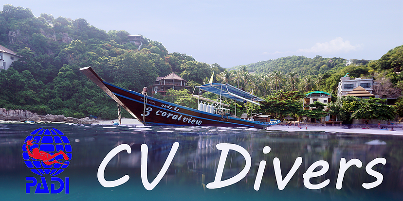 Coral View Resort | Dive Resort | PADI Travel